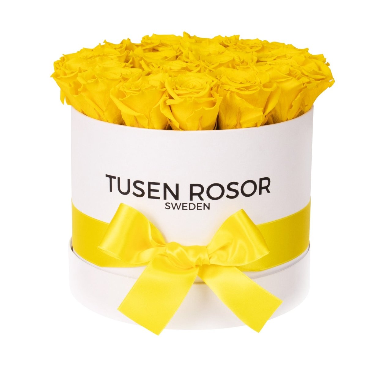 Evighetsrosor | Långvariga Gula Rosor | 17-20 Rosor | Tusen rosor ...