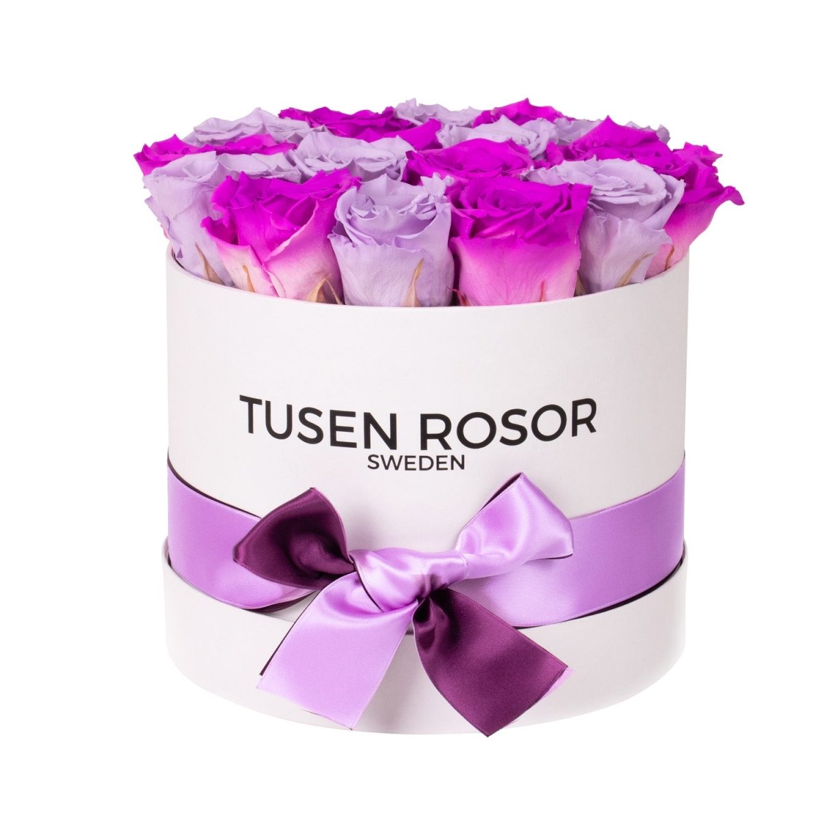 Evighetsrosor | Långvariga Rosa & Lila Rosor | 17-20 Rosor | Tusen ...
