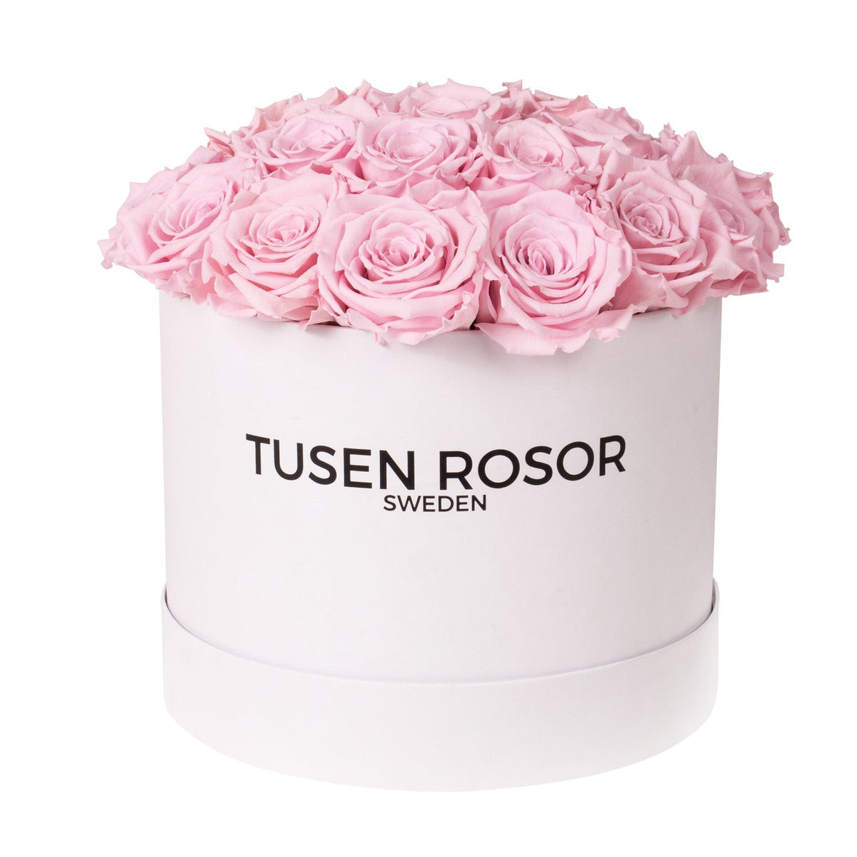 Evighetsrosor | Långvariga Rosa Rosor | 20-23 Rosor | Tusen rosor ...